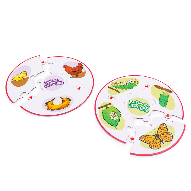 Life Cycle Puzzles – Junior Learning AUS